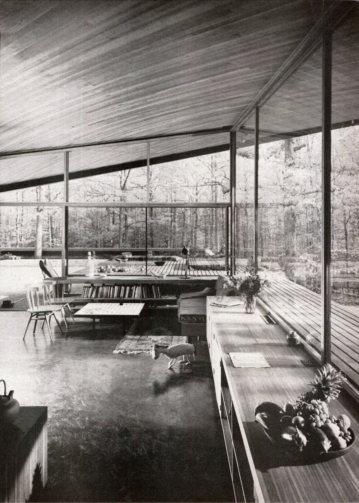 Eduardo Catalano, Raleigh House, 1954, Carolina del Norte. - Hyperbole
